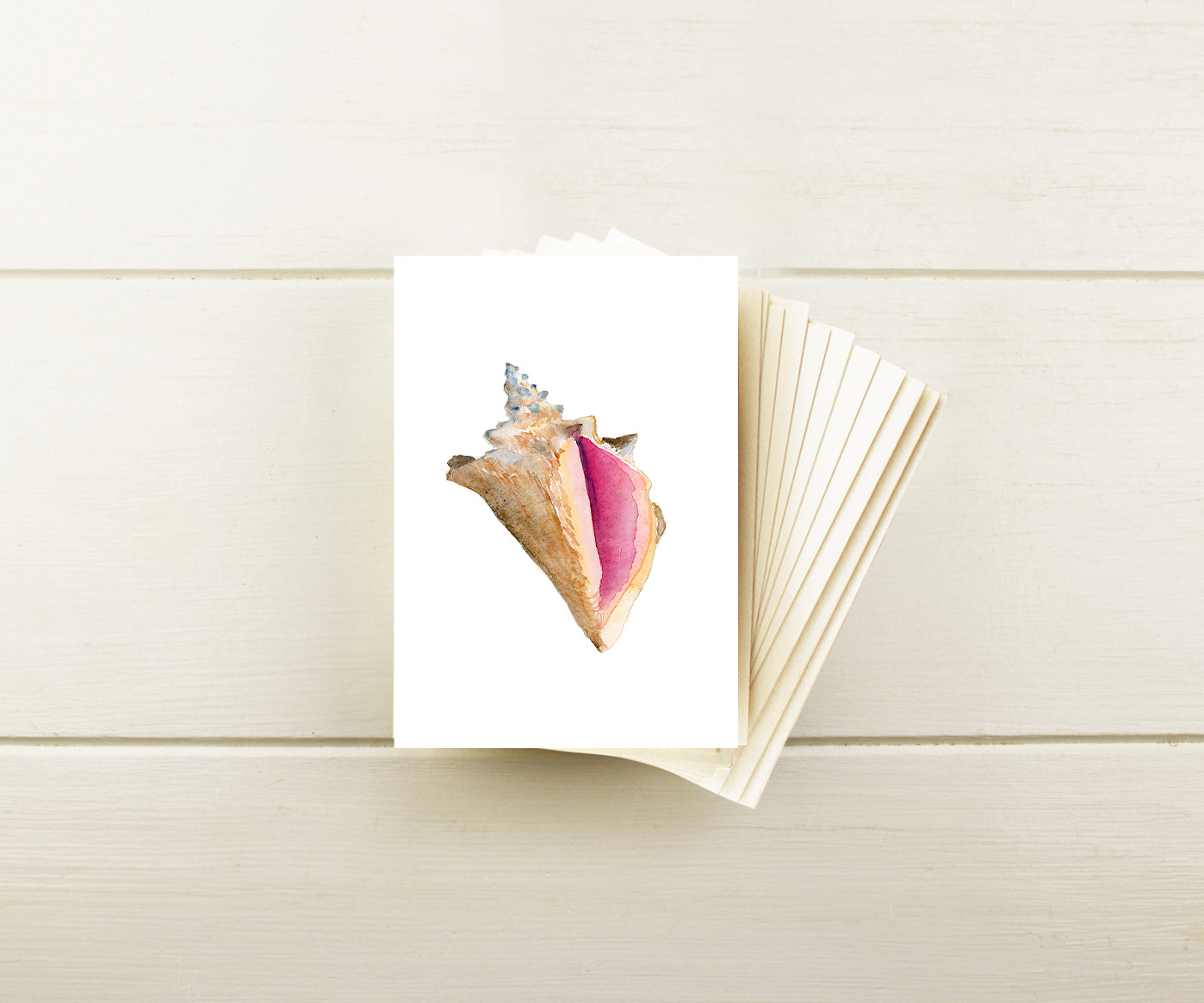 Conch Shell Note Cards – El's Cards