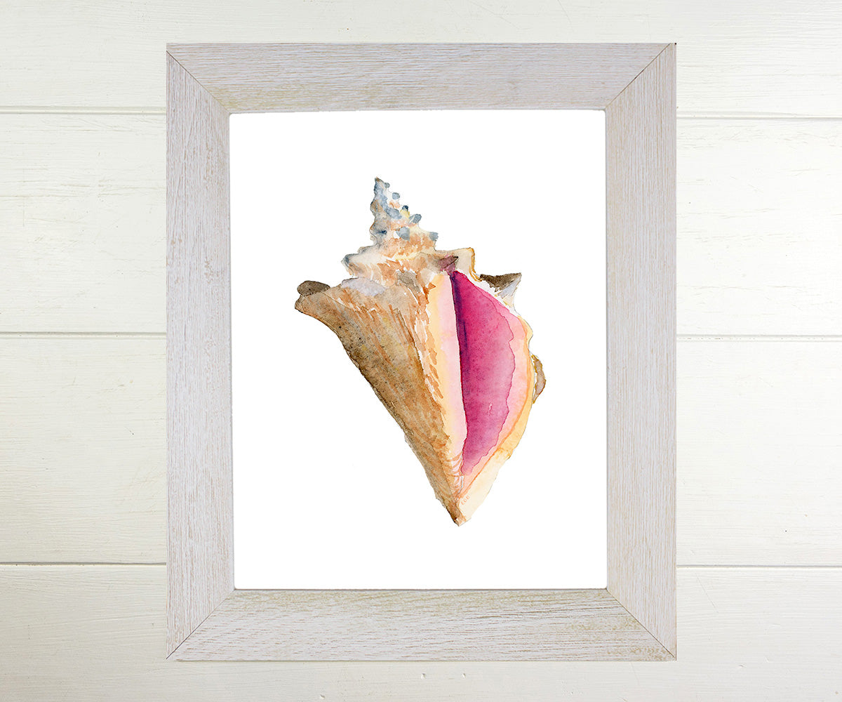 Conch Shell Print – El's Cards