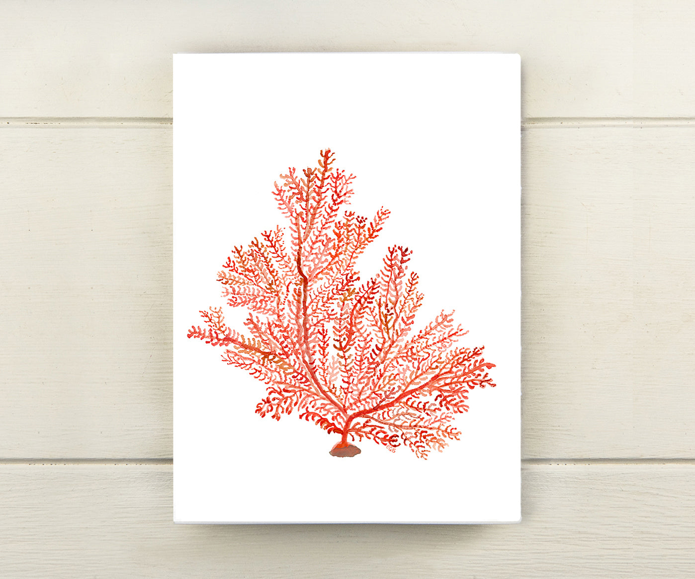 Red Coral Card – El's Cards